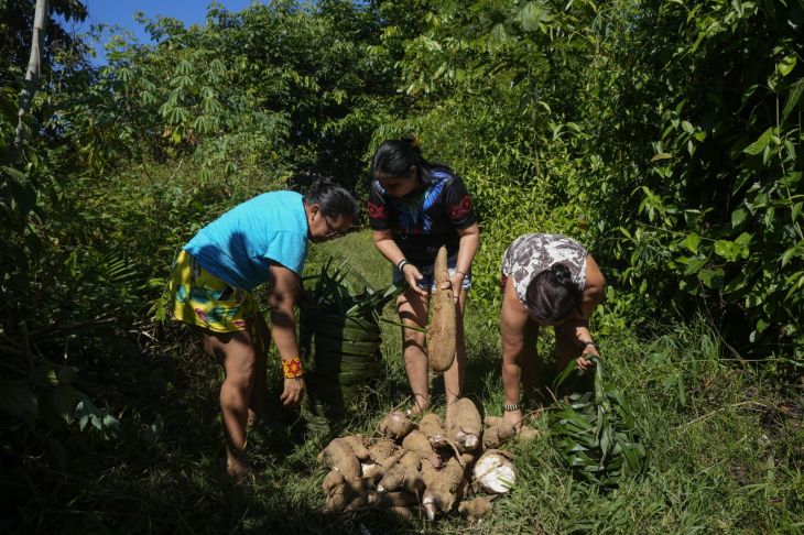 La Jornada Maya | Internacional | Ap | Mujeres indígenas de la Amazonía ...